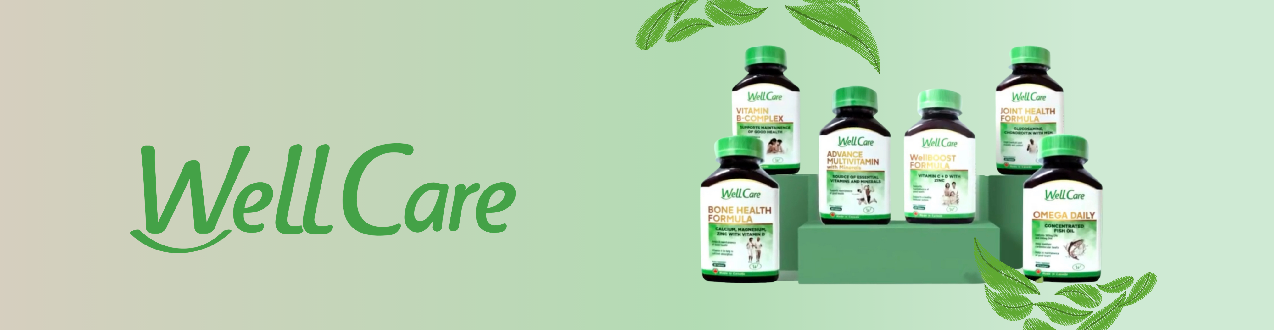 Wellesta | Value Added Partner for Healthcare